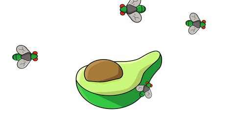 Animation Of An Avocado Surrounded By Flies 28328458 Stock Video At Vecteezy