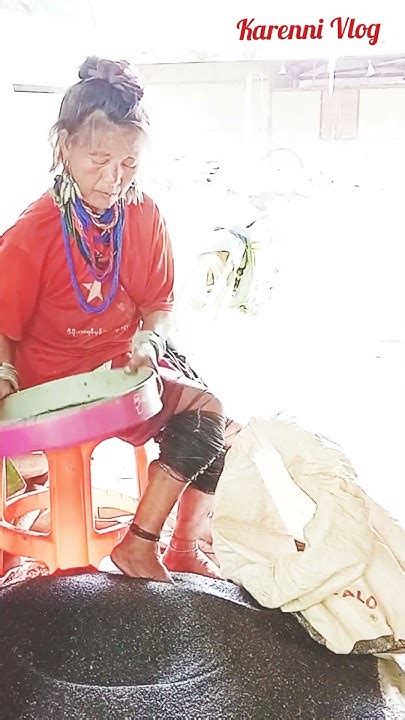 ဖရေစိုးလေးဒေသမှာ နှမ်းရပါပြီ😊😊 Shorts ဖရေစိုးလေး Karenni Vlog ကယားမ Youtube