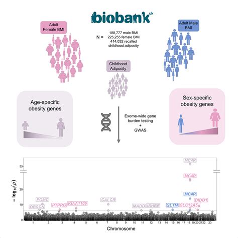 Large Scale Exome Sequence Analysis Identifies Sex And Age Specific