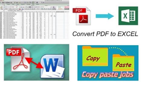 Do Data Entry Copypaste Data Collection Pdf To Excel By Wijaypendurthi Fiverr