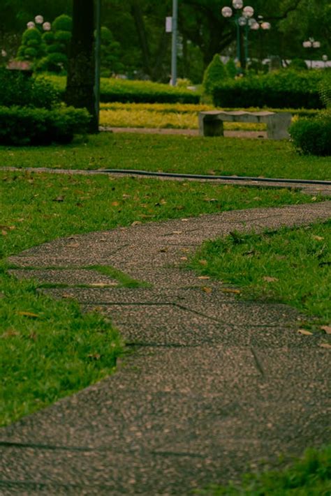 10월 가벼운 가을 갈색 개념 건조한 걷기 경계 경치 경치가 좋은 계절 계절성 고립된 공원 관념적인 구성 꽃무늬 나무 나뭇잎 노란색 다리