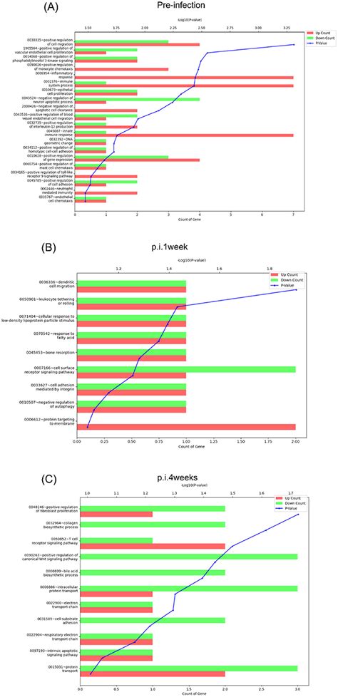 Frontiers Erratum Immunogenicity And Protective Efficacy Of A Multi Antigenic Adenovirus