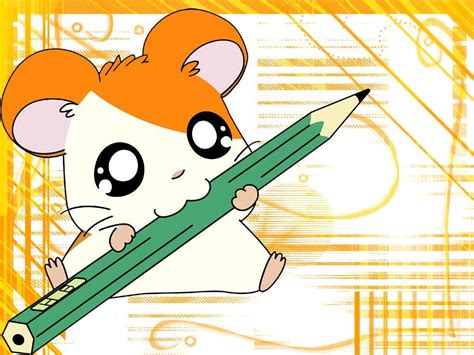 Anime Hamster Wallpapers Wallpaper Cave