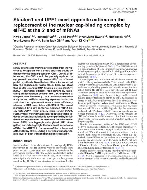 Pdf Staufen1 And Upf1 Exert Opposite Actions On The Replacement Of The Nuclear Cap Binding