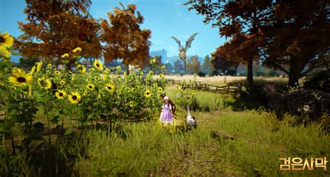 [스크린샷 And 영상] [가을연회] 칼페온 해바라기 밭에서 검은사막 한국