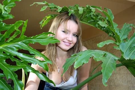 We Now Know What Noise Plants Make When They Are Stressed WNOR FM99