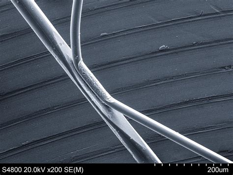 Esa Develops Snap Proof Space Tether