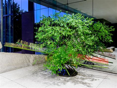 粕谷星華 Portfolio Of Seika Kasuya