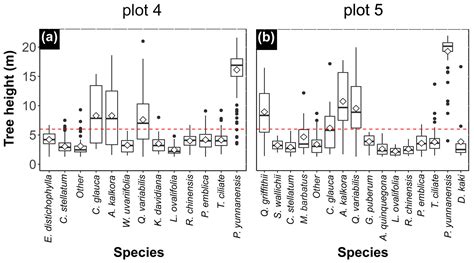 Spatial Structure Of The Vertical Layers In A Subtropical Secondary