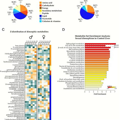 Metabolic Sexual Dimorphism In Adult Liver Tissue A Nontargeted Mass Download Scientific