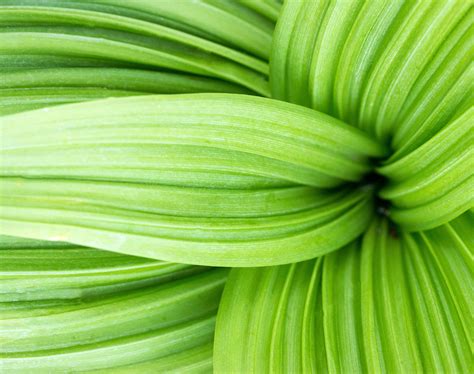 Second Circuit Interprets Aks Scienter Standard To Protect Inadvertent Violations Dentons On Call