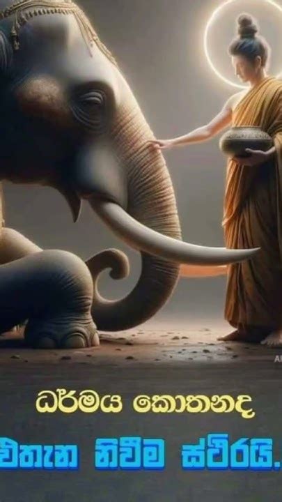 යමෙක් ධර්මයේ හැසිරෙන්නේද ඒ තුළින් ඔබට පිළිසරණ ලැබෙනු ඇත Youtube