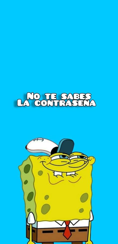 Fondos Chingones