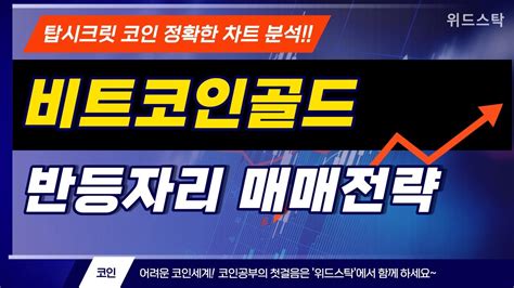 비트코인골드 코인 전망 비트코인골드 반등자리 매매전략 홀더분들 6월 22일까지 목표가 확인하세요 Youtube