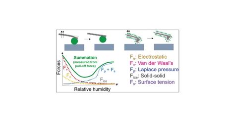 Particle Size And Humidity Effects On Nanocellulose Adhesion To Glass Implications For