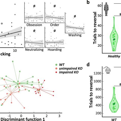 Only A Subgroup Of Ocd Patients And Sapap3 Ko Mice Needed A Higher Download Scientific Diagram