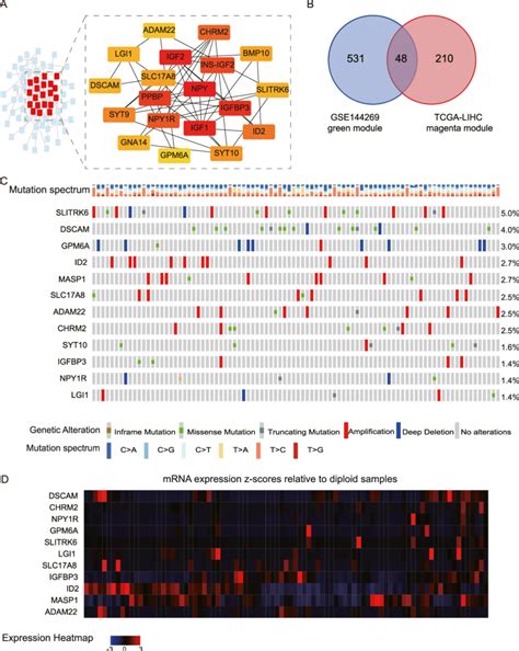 Ppi Analysis And Mutation Analysis Of 48 Degs A The 20 Genes With