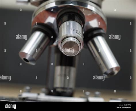 What Does The Nosepiece Do In A Microscope At Felipe Correa Blog What Does The Nosepiece Do In A Microscope At Felipe Correa Blog