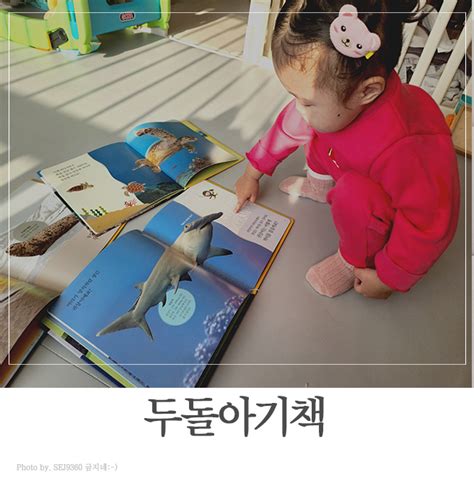 두돌아기 책 유아전집 추천 프뢰벨 자연관찰책 네이버 블로그