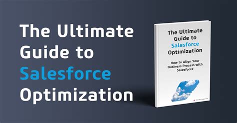 The Ultimate Guide To Salesforce Optimization