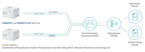 Causes Of Autosomal Trisomy 13 18 And 21 And Sex Chromosome Trisomies Trisomy X Klinefelter