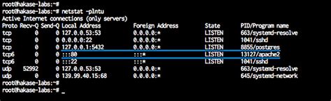 Cómo Instalar Postgresql Y Phppgadmin En Ubuntu 1804 Lts Howtoforge