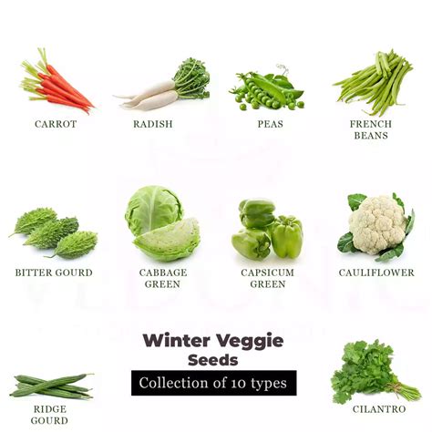Cold Weather Vegetable Seeds Winter Sowing Seeds A Complete Guide To