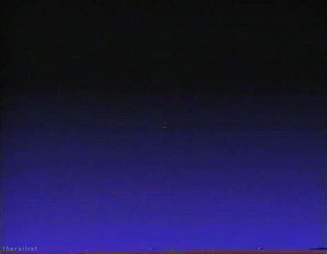 Kiss My Ass Tag Primo