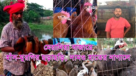 মেরাদিয়া বাজারে হাঁস মুরগির ছড়াছড়ি দামও হাতের নাগালে Youtube