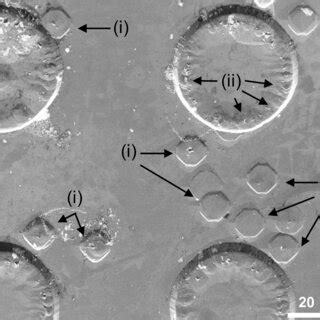 8 Band Structure Of Metal P Type Semiconductor Schottky Junction At Download Scientific
