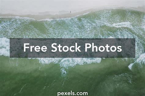 Alabama Beach Mouse Photos Download The Best Free Alabama Beach Mouse