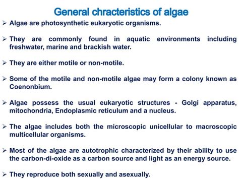 Classification Of Algae PPTX Biological Sciences Science