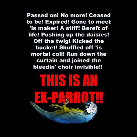 Dead Parrot Sketch Script Good Sketch