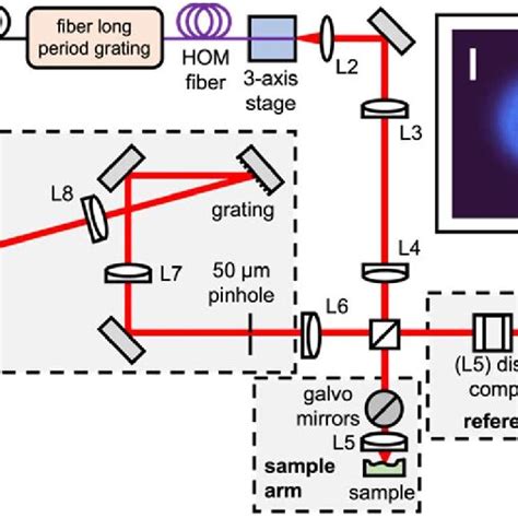 Schematic Of The Ultrahigh Resolution Fourier Domain Optical Coherence Download Scientific