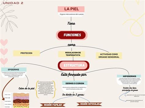 Beige Modern Business Organization Chart Graph Claudita UDocz
