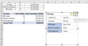 Pivot Table Slicer Top 2 Methods Examples How To Create