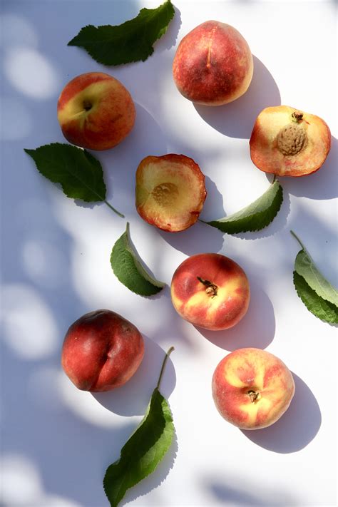 무료 이미지 천도 복숭아 사과 나무 European Plum 자연 식품 꽃 피는 식물 잎 생기게 하다 슈퍼 푸드 아직도 인생 사진 현지 음식 유혈