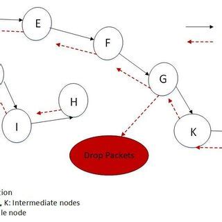 Representation Of Node G Misrouting Packets Download Scientific Diagram