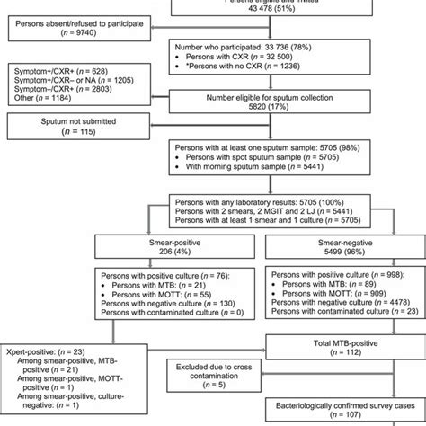 Flow Chart Of Participants Screened For Tb In The National Tb