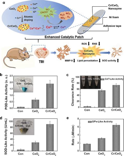 Doping Ceo2 Nps With Cr To Enhance The Scavenging Activity Of Rons In Download Scientific