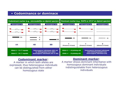 Ppt Molecular Marker Technologies Powerpoint Presentation Free