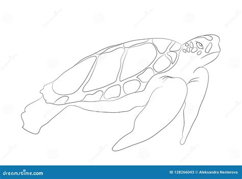 Turtle Swims Drawing Lines Vector Stock Vector Illustration Of Concept Hand