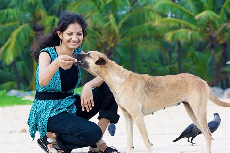 فتاة مع كلب حديقة الاتصالات النظام صورة الخلفية والصورة للتنزيل المجاني