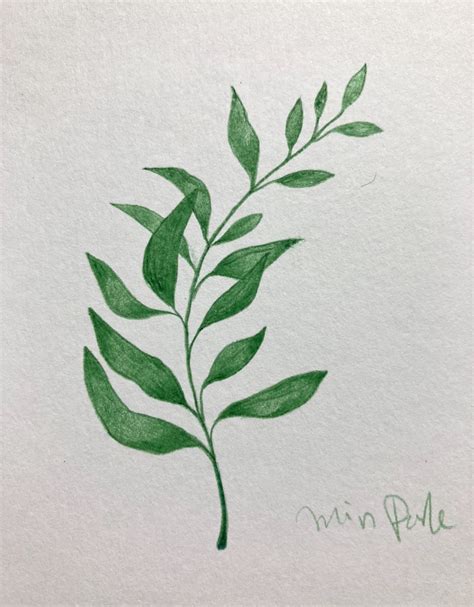 Day70 풀잎 나뭇잎