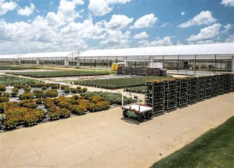 ahmed elsafy on linkedin amazing work by everyone at burro