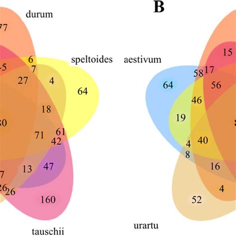 Core Microbiome Analysis Between Different Wheat Species At Two Download Scientific Diagram