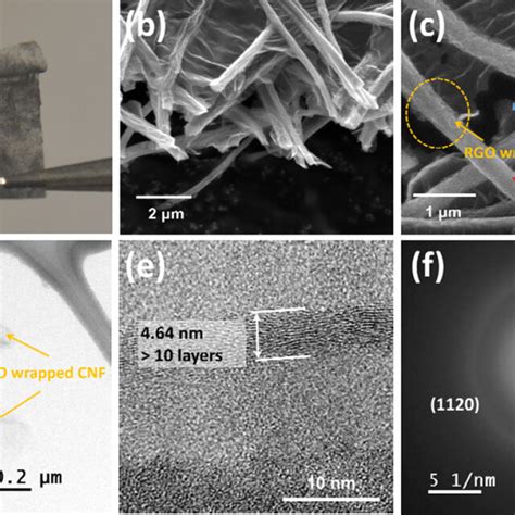 A Digital Photo And B C Sem Micrographs Of The Cnfrgo Hybrid