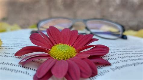 Pin By Vali On իմ նկարած նկարները Engagement Rings Wedding Rings Jewelry