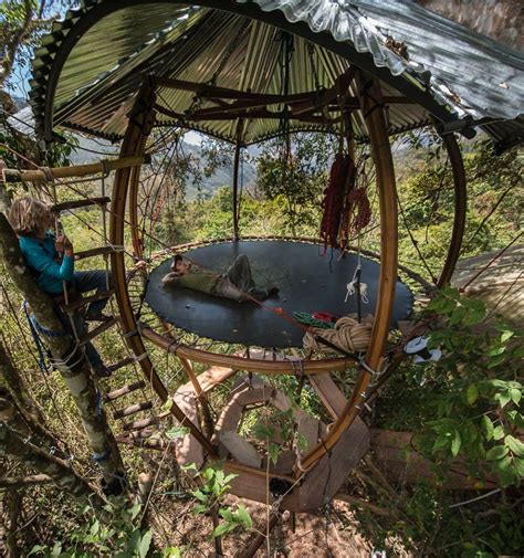 Tree Platforms FOREST ECOPHYSIOLOGY LAB UNIVERSITY OF KENTUCKY
