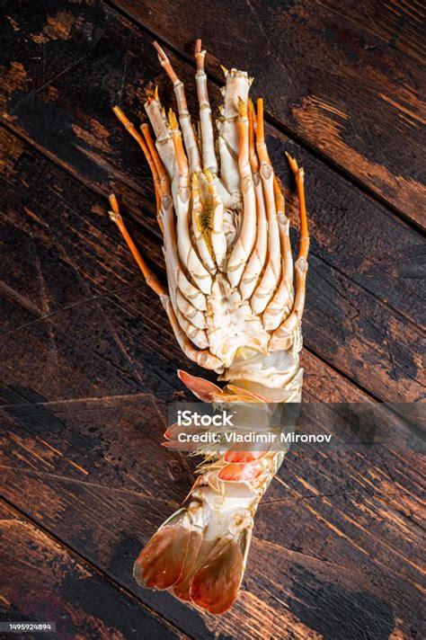 나무 테이블에 신선한 가시 랍스터 생 해산물 나무 배경입니다 상위 뷰 갈고리 발톱에 대한 스톡 사진 및 기타 이미지 갈고리 발톱 갑각류 건강한 식생활 Istock